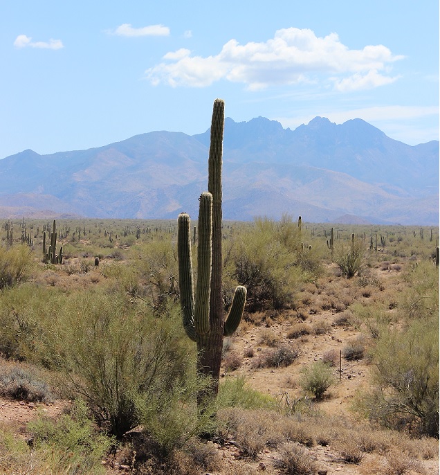 The Heat is On – Aye, Arizona! – Mirror Gate Chronicles